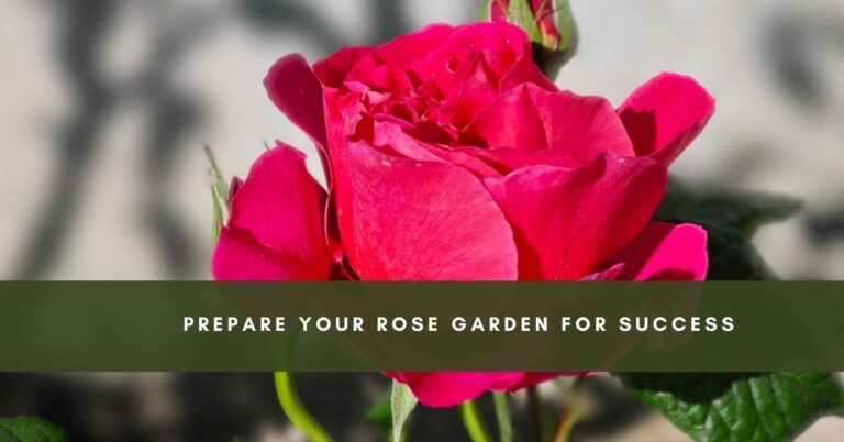 A Minimum Set of Tools for the Rose Garden: Preparing for the New ...